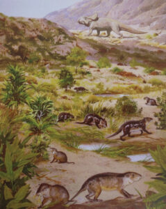 Prehistoric Times Magazine Reviewed by Everything Dinosaur