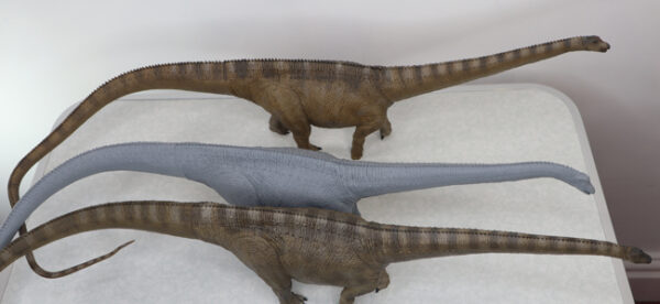 Rebor Diplodocus carnegii Models in Stock