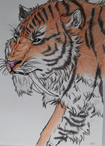 Smilodon and Allosaurus Drawings Sent in by Dinosaur Fan