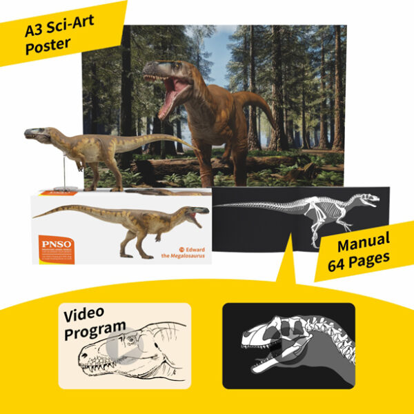 PNSO Edward the Megalosaurus Dinosaur Model