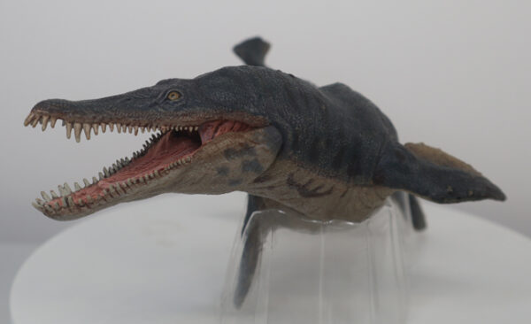 Papo Kronosaurus Marine Reptile Model Photographed