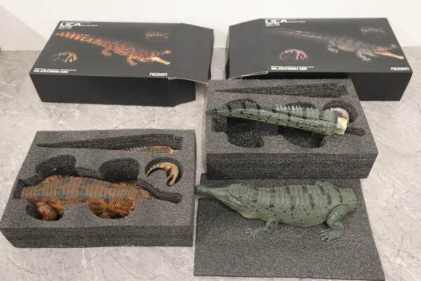 October 5, 2023 | Everything Dinosaur Blog