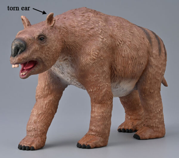 New CollectA Diprotodon Drawing for Everything Dinosaur