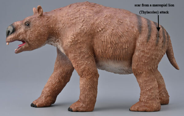 August 15, 2024 | Everything Dinosaur Blog