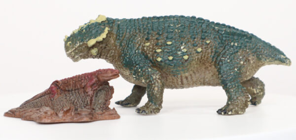 Wild Past Scutosaurus and Kotlassia in Stock