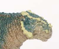 Wild Past Scutosaurus and Kotlassia in Stock