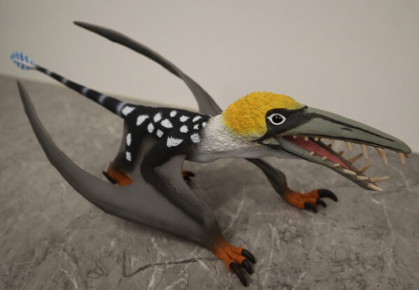 The CollectA Dearc sgiathanach Model is in Stock