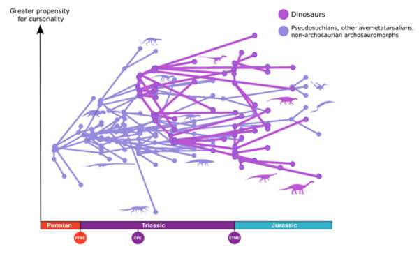 Everything Dinosaur Blog - Dinosaur Models