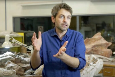 Predatory Dinosaurs - Pathology and Diseases