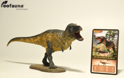 The Eofauna T. rex Model will be in Stock Soon