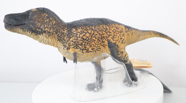 Eofauna Tyrannosaurus rex Dinosaur Model Reviewed