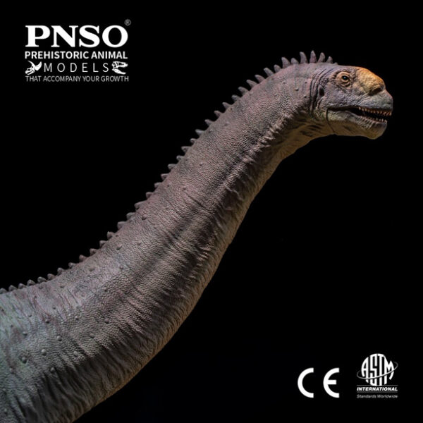 New PNSO Camarasaurus Model Coming into Stock