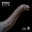New PNSO Camarasaurus Model Coming into Stock