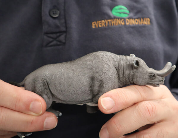 The Rare Mojo Fun Brontotherium Model is Photographed