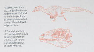 "The Little Book of Dinosaurs" a New Publication