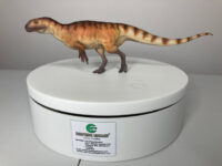 The PNSO Yangchuanosaurus Dinosaur Model is Beautiful
