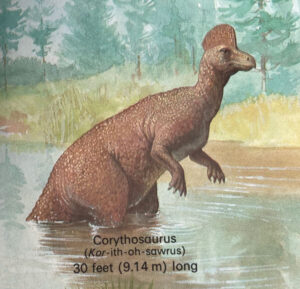 Everything Dinosaur Blog - Dinosaur Models