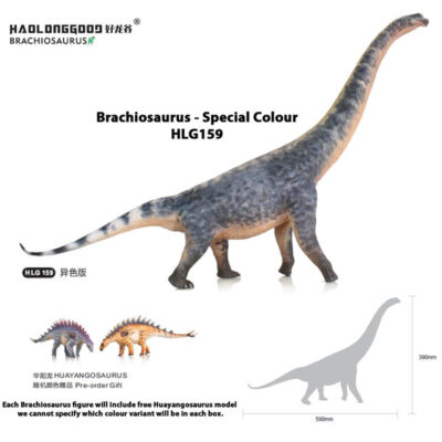 New Haolonggood Brachiosaurus Models Soon to be in Stock