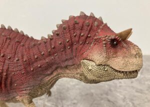 Rebor Models and Figures