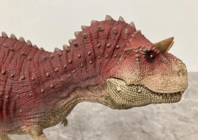 Rebor Models and Figures