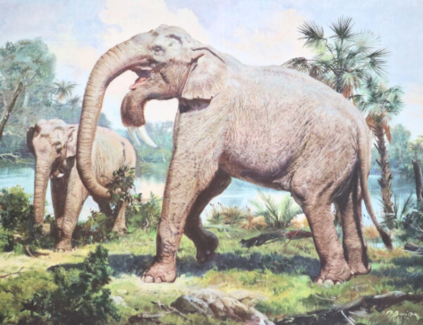 Issue 152 of "Prehistoric Times" Magazine is Reviewed