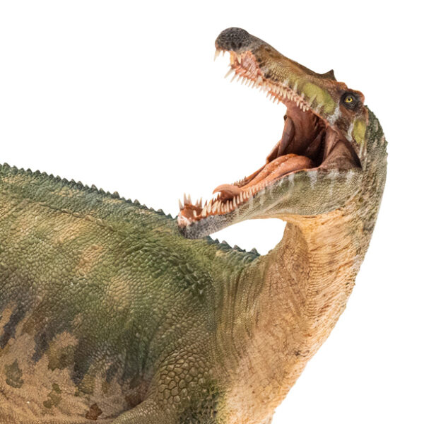 Papo Suchomimus Dinosaur Model Product Images
