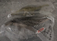 New Schleich Dinosaur Models for 2025 Now in Stock