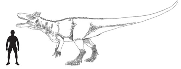 New Maip macrothorax model Inspires Dinosaur Drawing