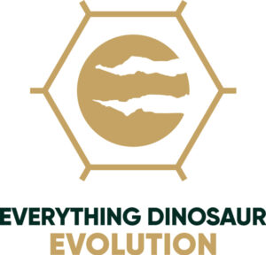 Everything Dinosaur Evolution is Launched