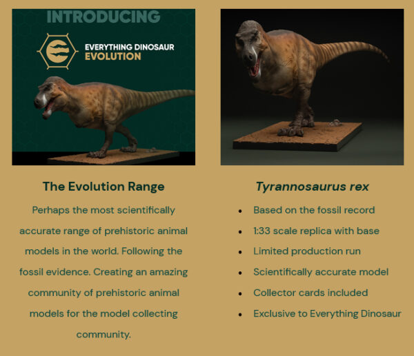 Everything Dinosaur Evolution Models Revealed in Newsletter
