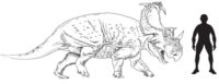Dinosaur and Prehistoric Animal Drawings