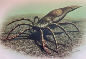 Megarachne servinei - Once Thought to be the Biggest Spider