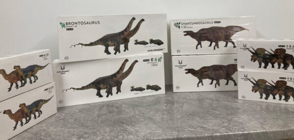 October 11, 2025 | Everything Dinosaur Blog