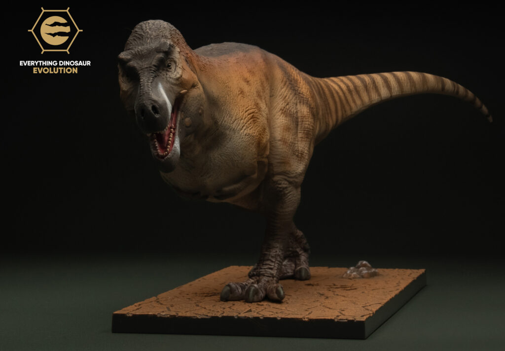 What is the Most Accurate T. rex Model? A Cool Question