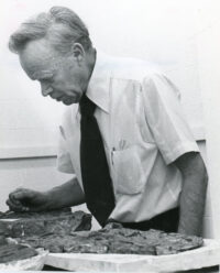 Everything Dinosaur Blog - Dinosaur Models