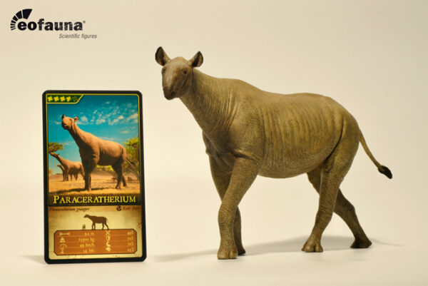 Dinosaur and Prehistoric Animal Models