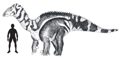 Dinosaur and Prehistoric Animal Drawings