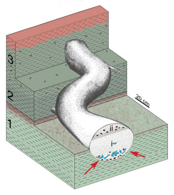 October 27, 2007 | Everything Dinosaur Blog