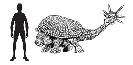 July 11, 2010 | Everything Dinosaur Blog