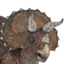 August 6, 2010 | Everything Dinosaur Blog